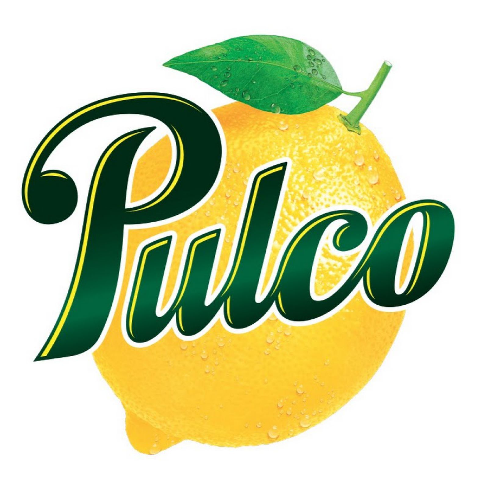 Pulco Logo